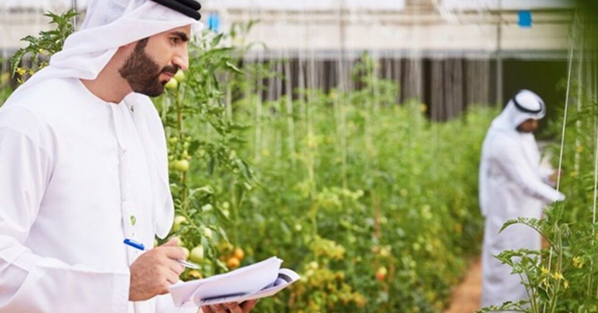 CIRCA BIOTECH: Food Waste Partnership | CCI FRANCE EMIRATS ARABES UNIS