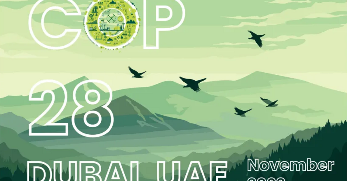 Registration For The Green Zone at COP28 Is Open | CCI FRANCE EMIRATS ...