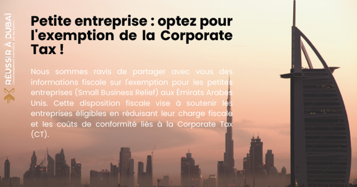 [In French] Petite entreprise : optez pour l'exemption de la Corporate ...