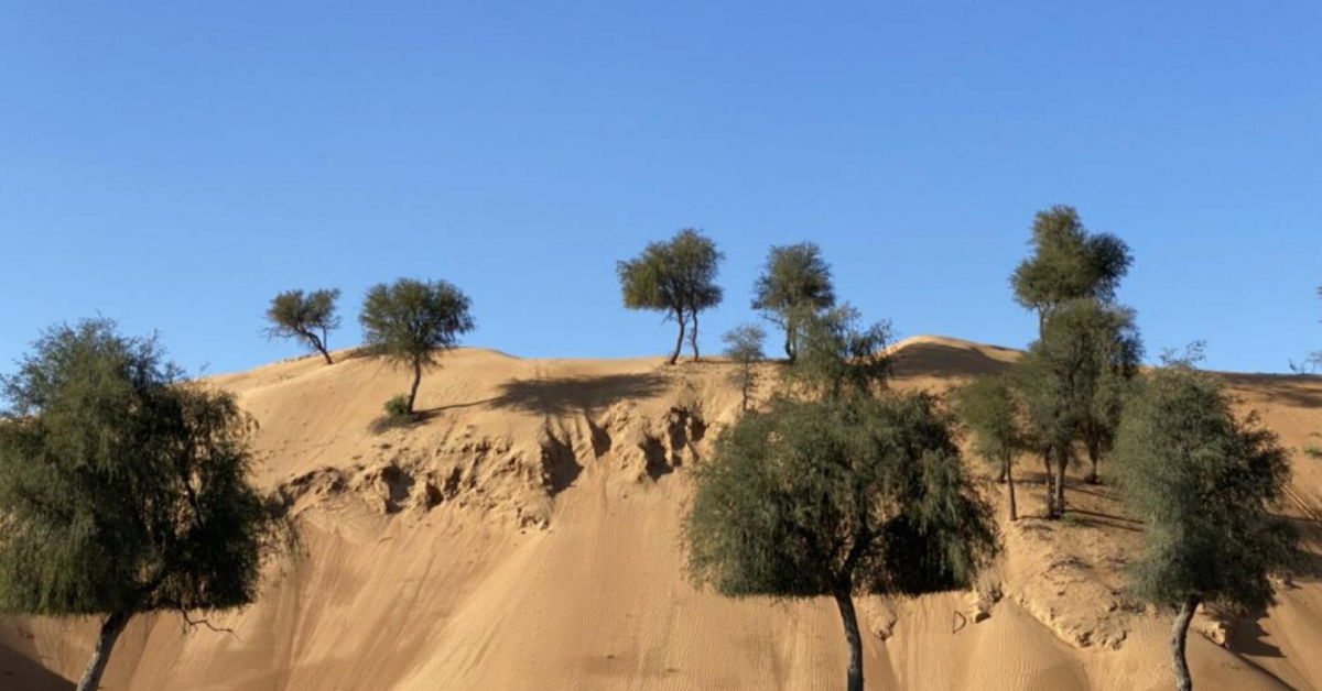 World Tourism Day: Umm Al Quwain announces new Ecotrail to advance ...
