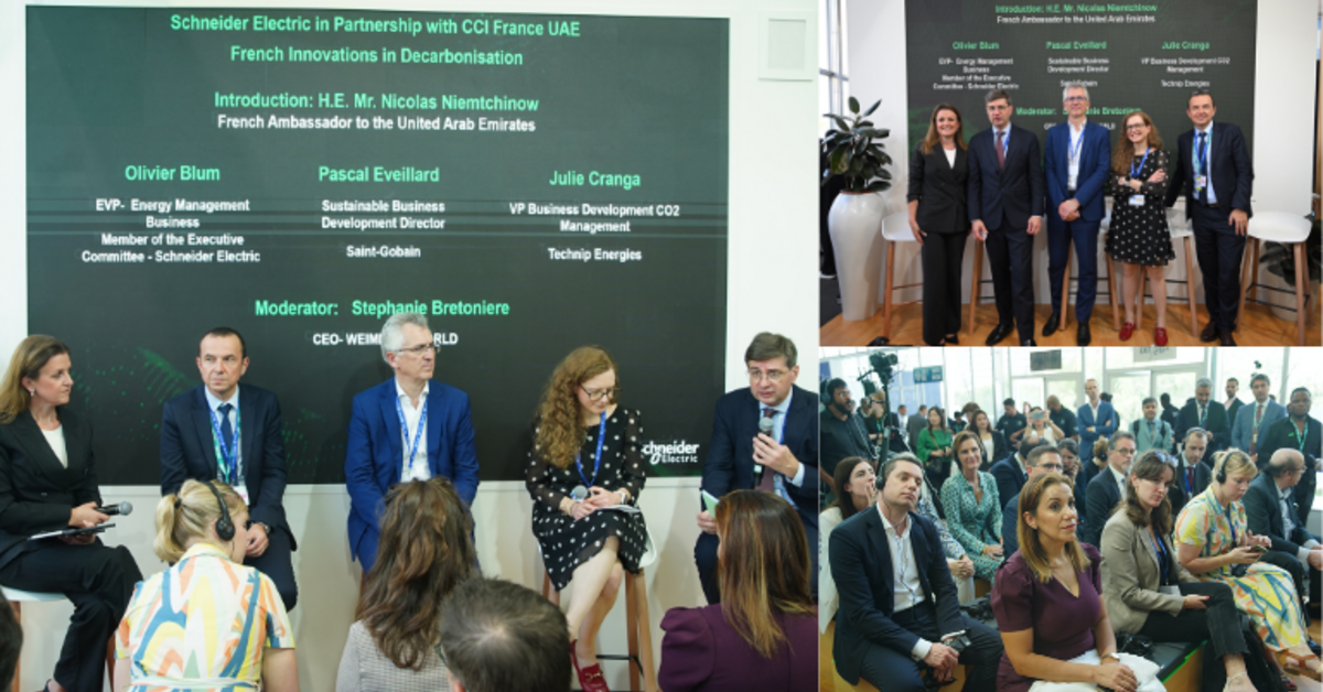 COP28 Conference Series – Exclusive C-levels Panels N3 : French ...