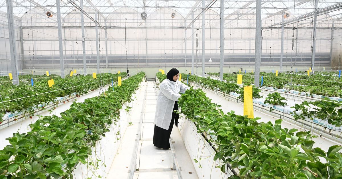 Strategic Partnership: A great milestone achieved by Circa Biotech ...