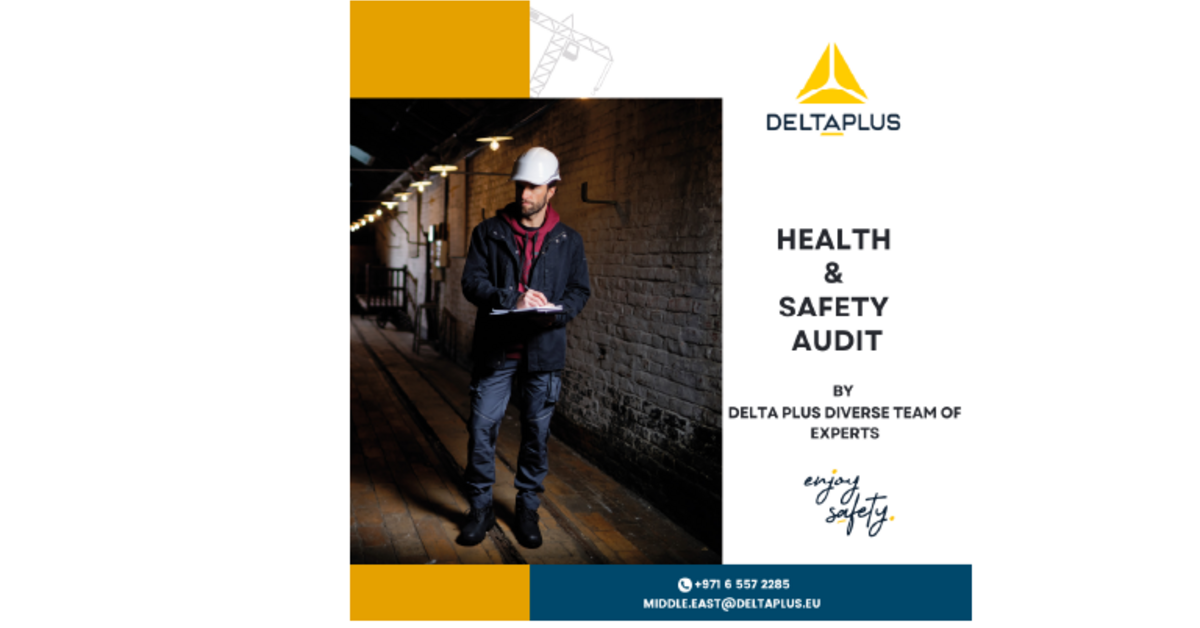 Health and Safety Audit Service by Delta Plus Diverse Team of Experts ...