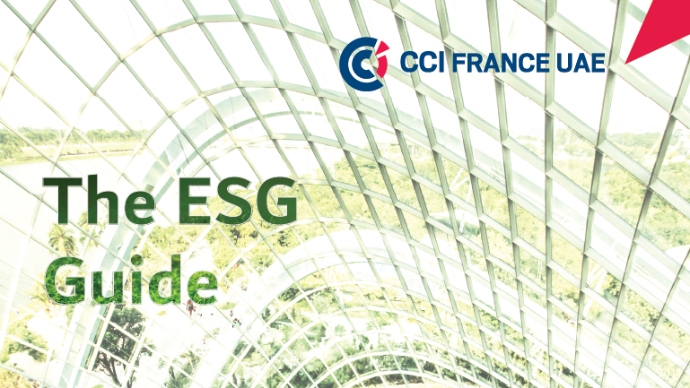 The ESG Guide | CCI FRANCE EMIRATS ARABES UNIS